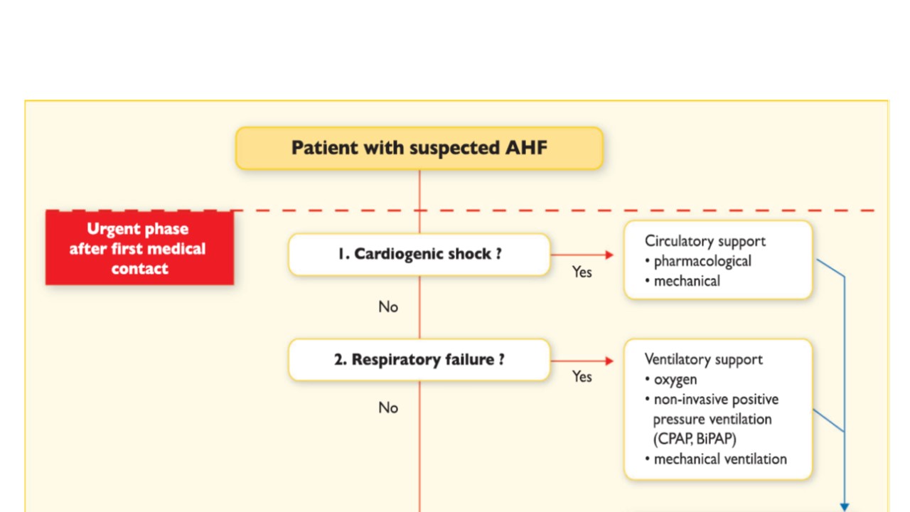 Algoritmo CHAMP en insuficiencia cardíaca aguda | cardiomap